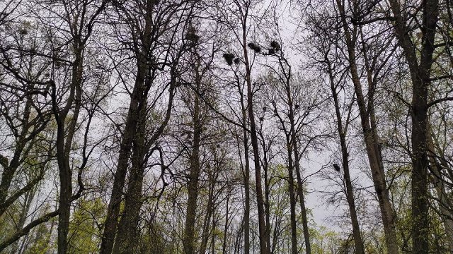 latv22erg.web.app - urlscan.io